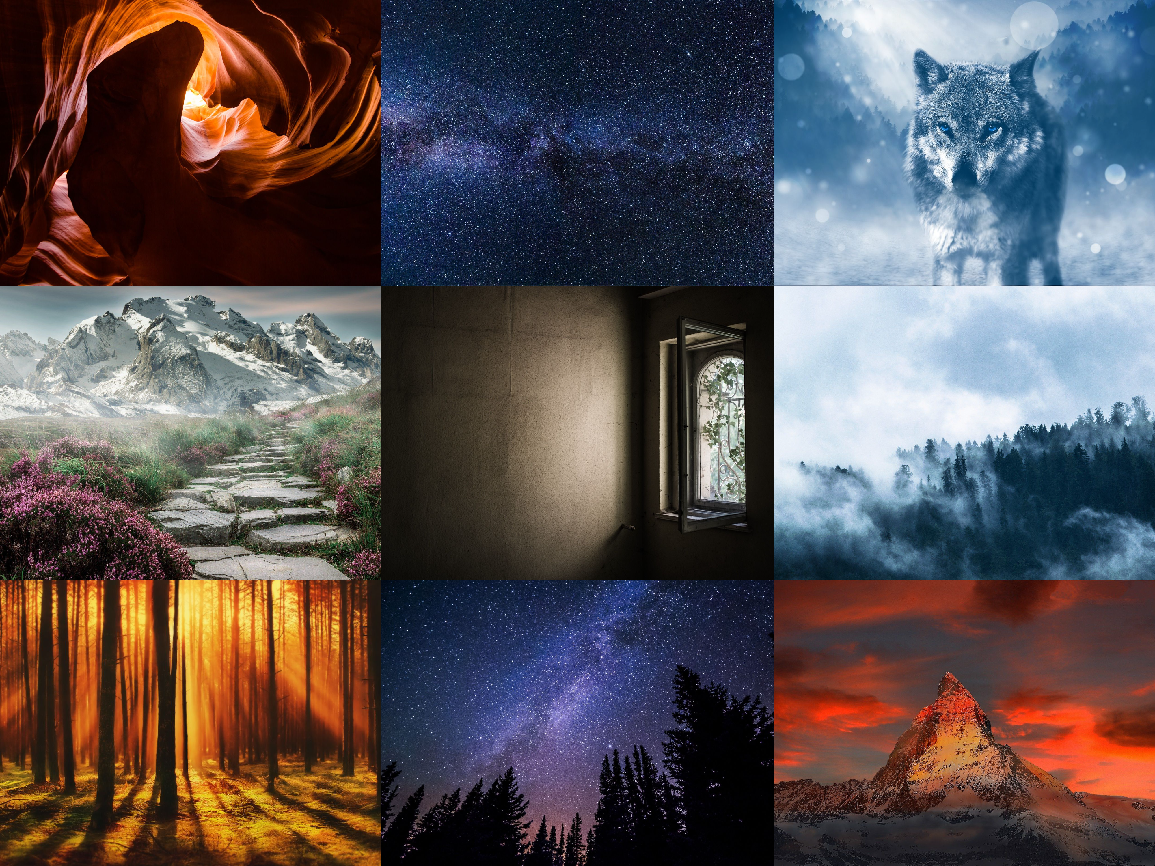 Blog Tour | The Boy, The Wolf and The Stars by Shivaun Plozza | Review ...